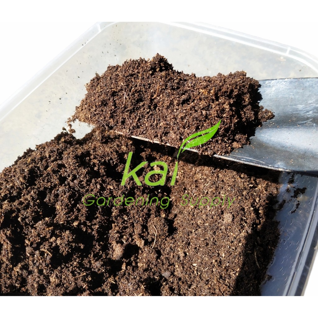 1 KG Imported Holland Potting Soil / Peat moss / Seeding Soil / Tanah ...