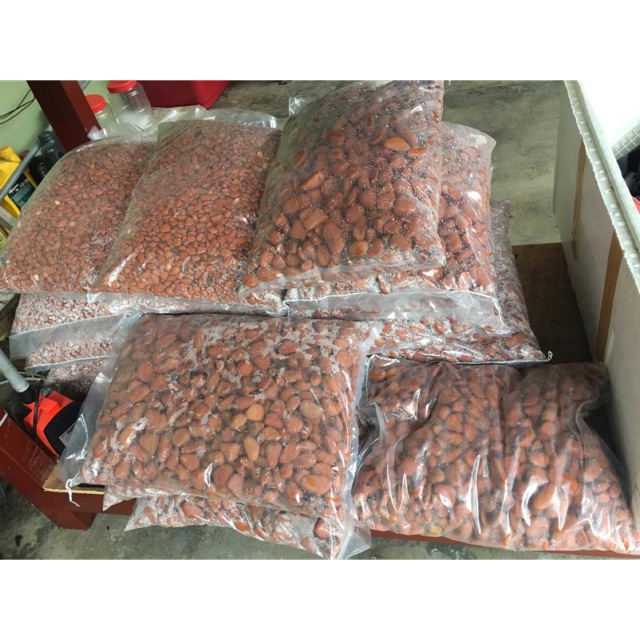 Burmese stone. Batu merah C5 | Shopee Malaysia