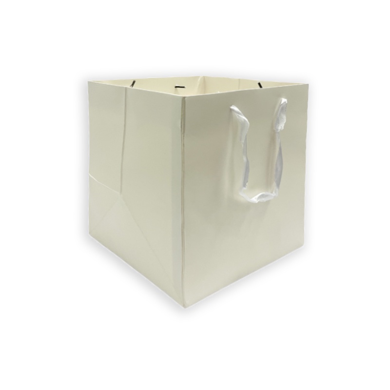 ⭐️ Gift Paper Bag Cake Gift Box Kotak Bag Surprise Square Bag Kasut Door Gift Present Bouquet ...