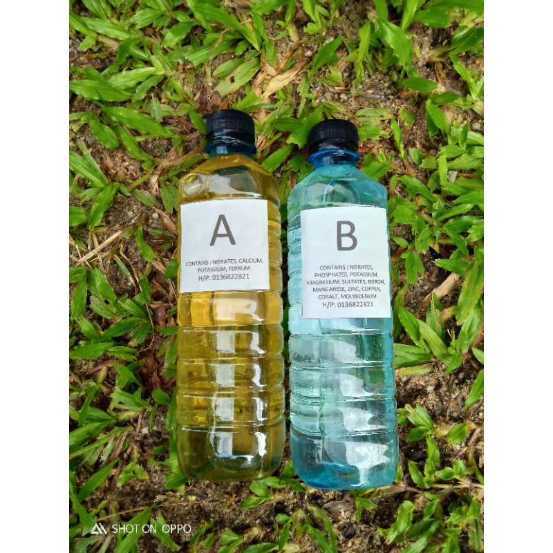 🔥HOT SELL🔥Pati Baja AB untuk tanaman fertigrasi dan hidroponik | Shopee ...
