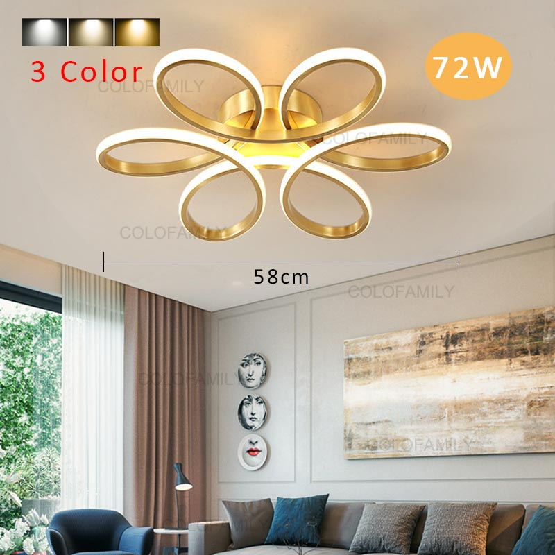 3 Colors Ceiling Lights LED Decorative Lights Home Living Room ...