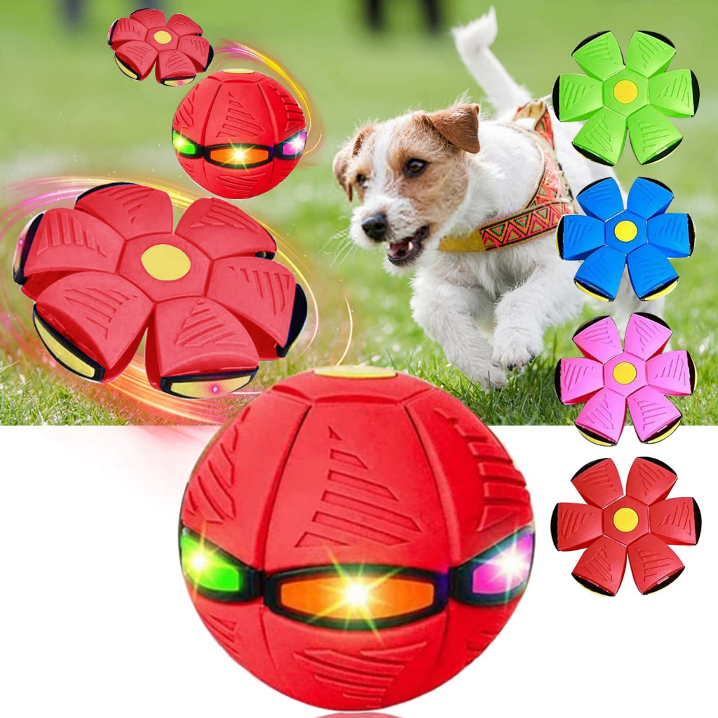 2023 New Pet Toy Flying Saucer Ball, Flying Saucer Ball Dog Toy, Pet ... 2023 New Pet Toy Flying Saucer Ball, Flying Saucer Ball Dog Toy, Pet ...