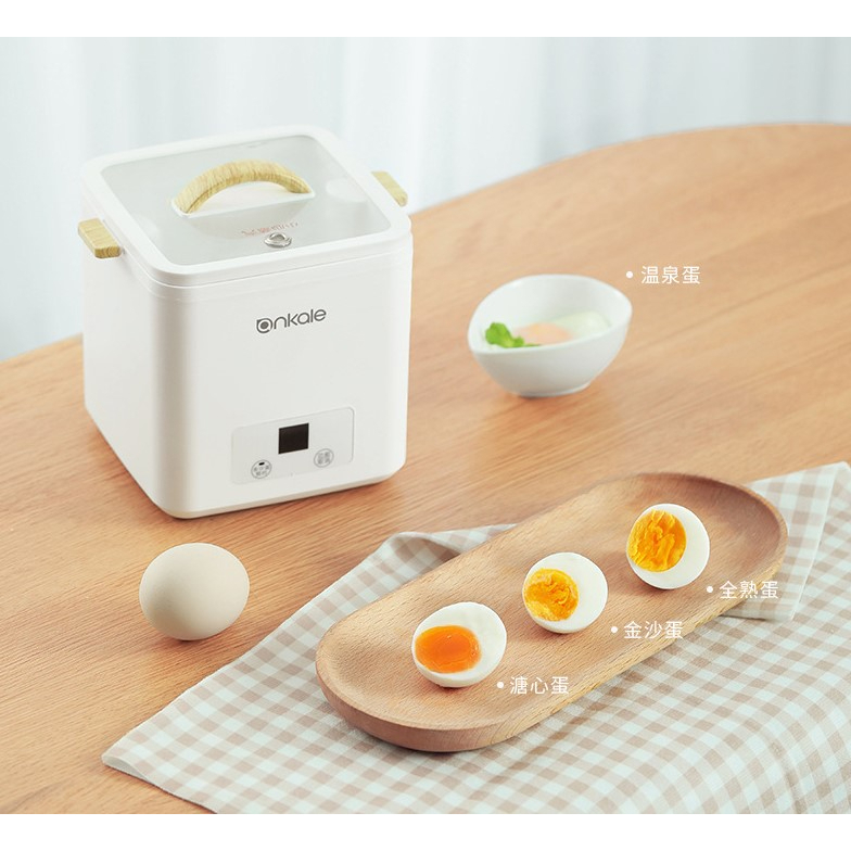 220V Electric Hot Spring Egg Boiler Steamer Stewed Eggs Custard Candy ...