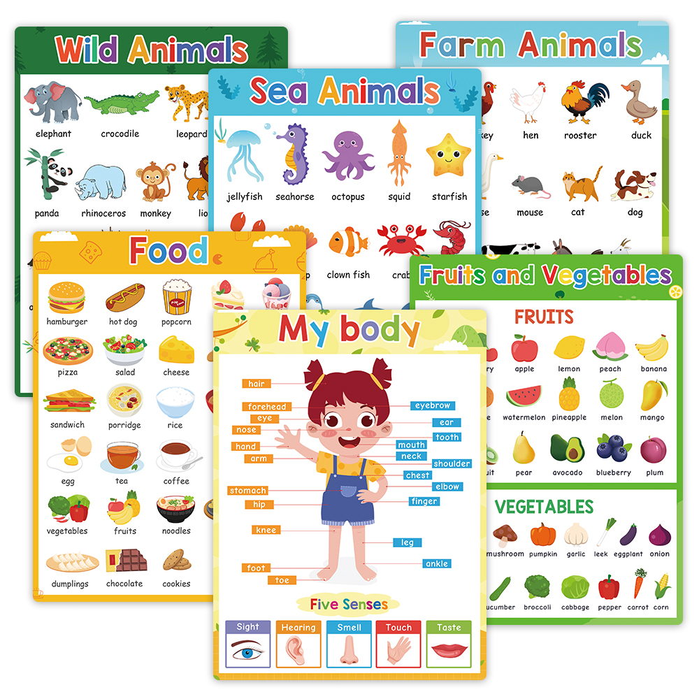 Learning English for Children Fruit Color Animal Body Parts Big Cards ...