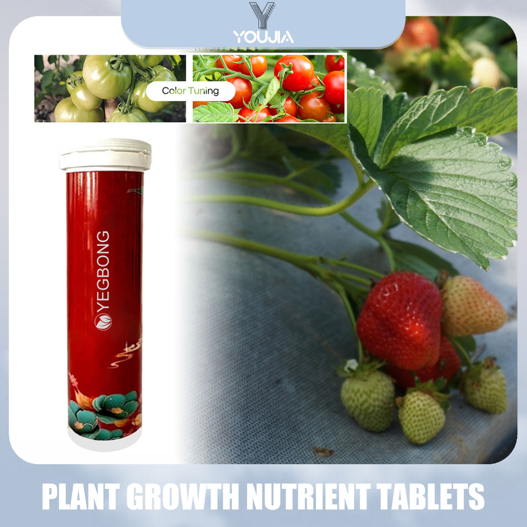 YEGBONG Plant Growth Enhancer Hydroponic Nutrients Supplement ...