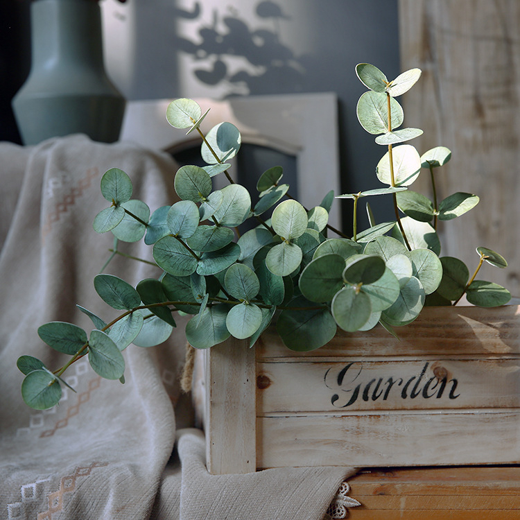 Fresh Trigeminal Feel Eucalyptus Simulation Plant Green Leaves Nordic ...