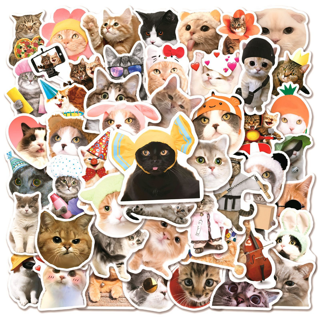50PCS Funny and Realistic Cute Cat Stickers For Laptop Helmet Phone ...