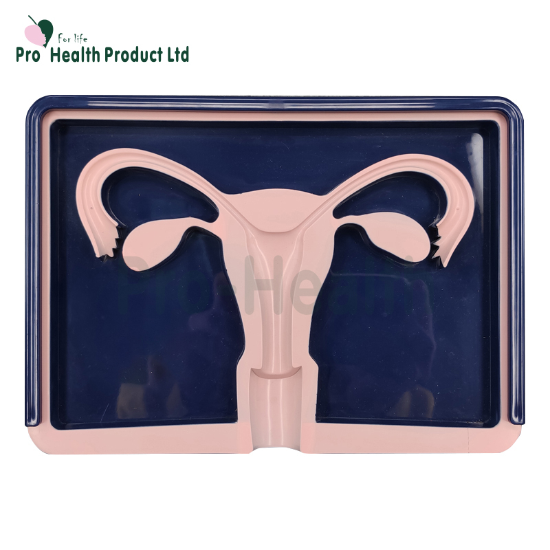 Premium IUD Demonstration Model Training Model | Shopee Malaysia