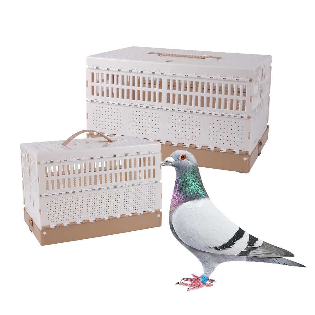 1 Pc Pigeon Folding Cage S M L XL Model Pigeon Training Portable Cage ...
