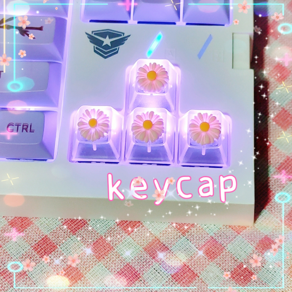 1pcs Handmade Customized Daisy Keycap R4 Transparent Mechanical ...