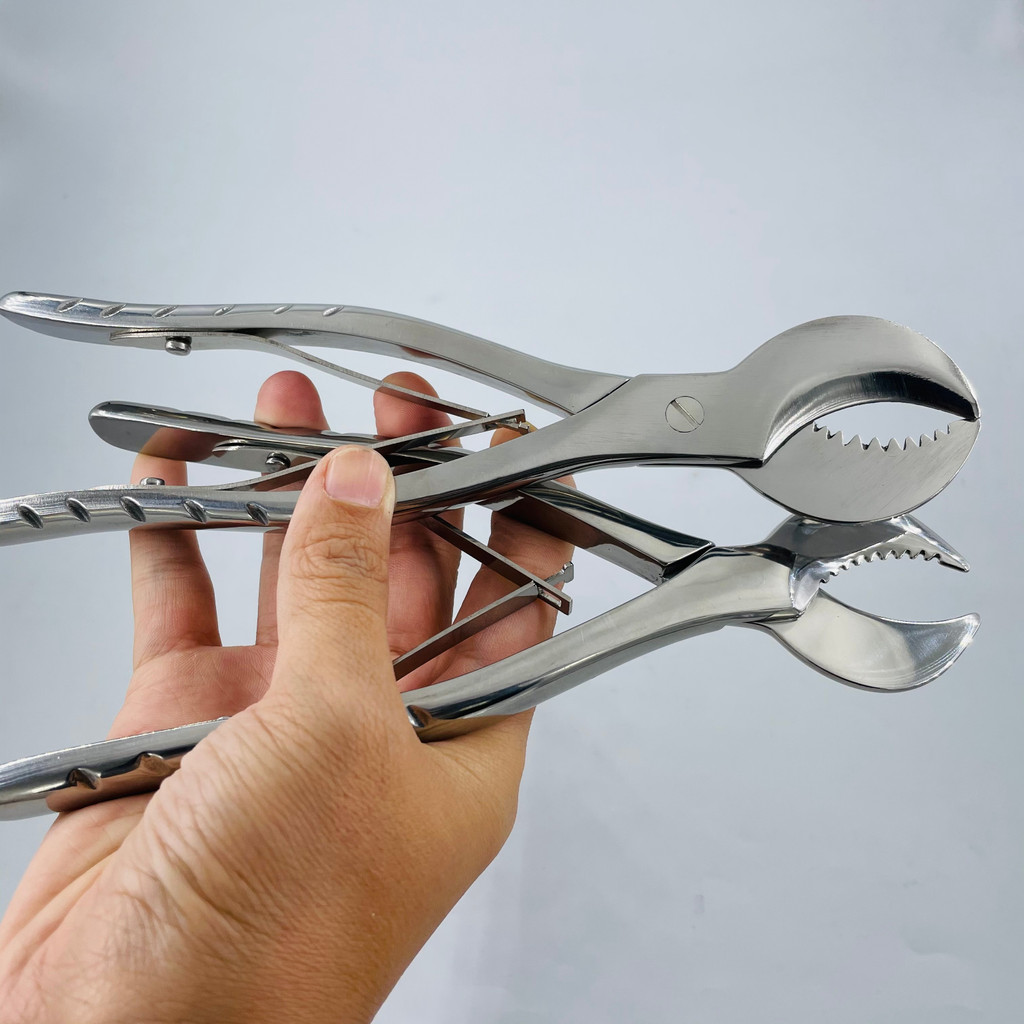 Stainless Steel Dental Plaster Scissors Gypsum Scissors Dentistry ...