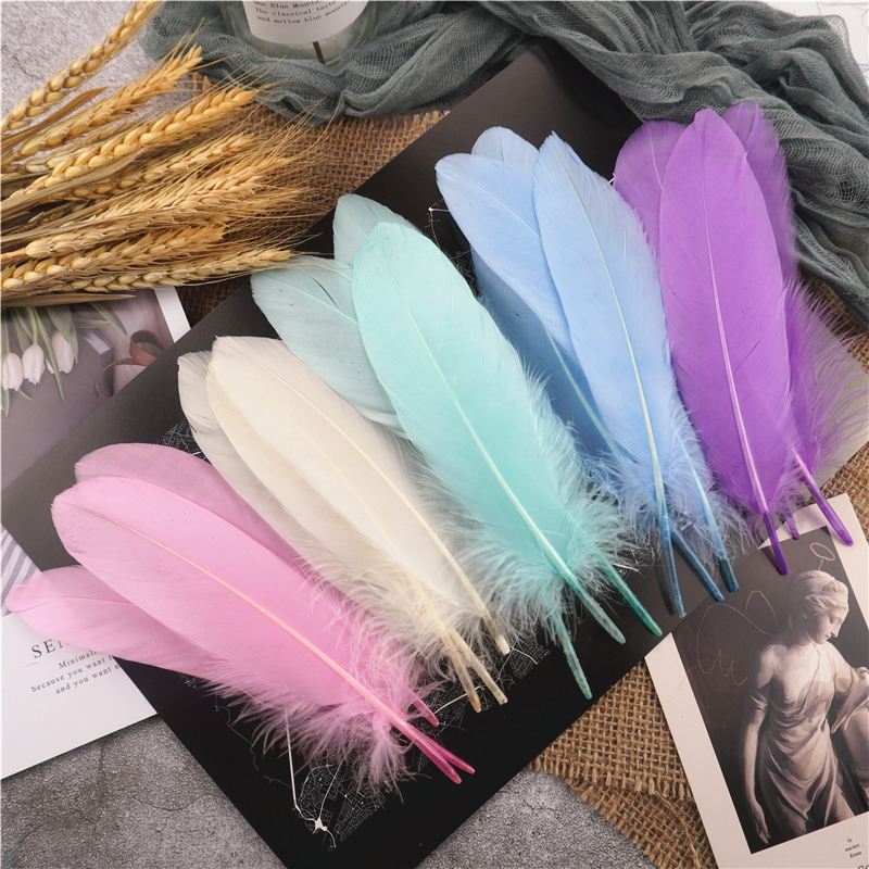 20Pcs/Lot 15-20cm Hard Stick Goose Feathers Natural Swan Pluma ...