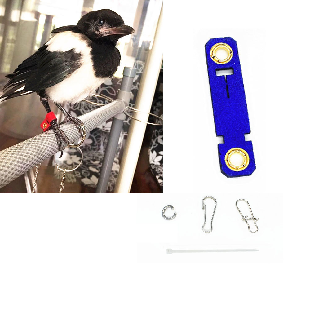 Bird Foot velvet Leather Cover, Bird Foot Ring Chain Accessories, Ring ...