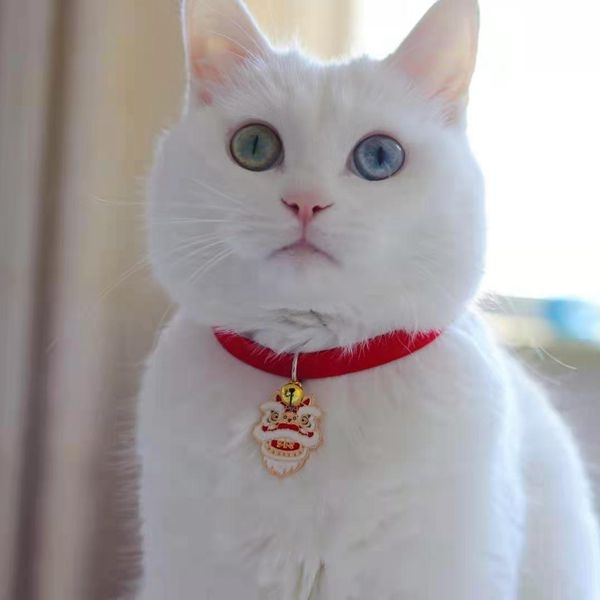 Pets Collar red blessing word spring with bell and pendant adjustable ...