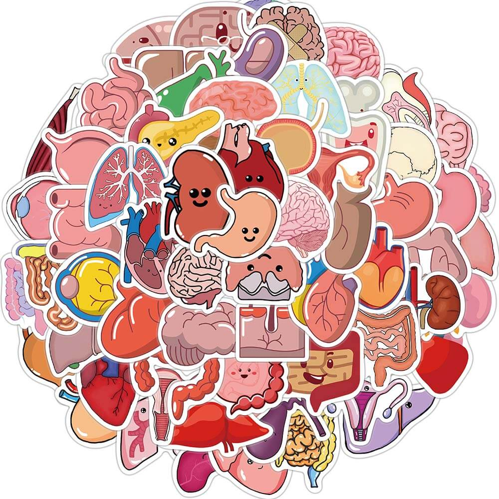 [Large stickers]65PCS Cartoon Human Organ Stickers Cute Medical Anatomy ...
