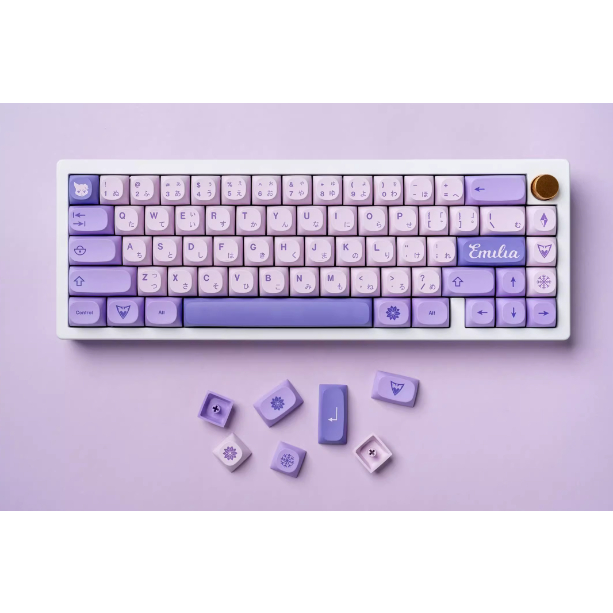[Keycaps] Finalkey Frost Witch keycaps MA profile keycaps PBT Dye Sub ...