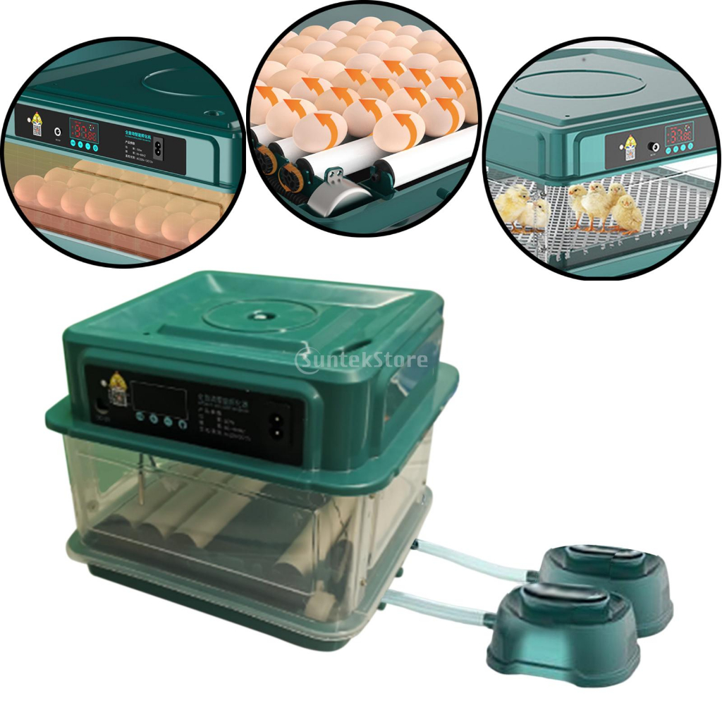 Full Automatic Egg LED Display Chick for Goose Quail Pigeon Hatching ...