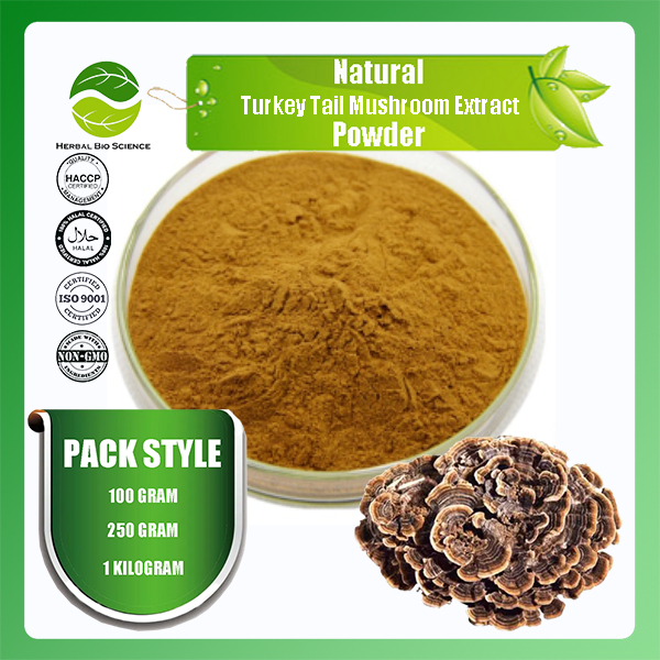 【Natural 20:1 Turkey Tail Mushroom Extract Powder 100g/250g/1kg / Good ...