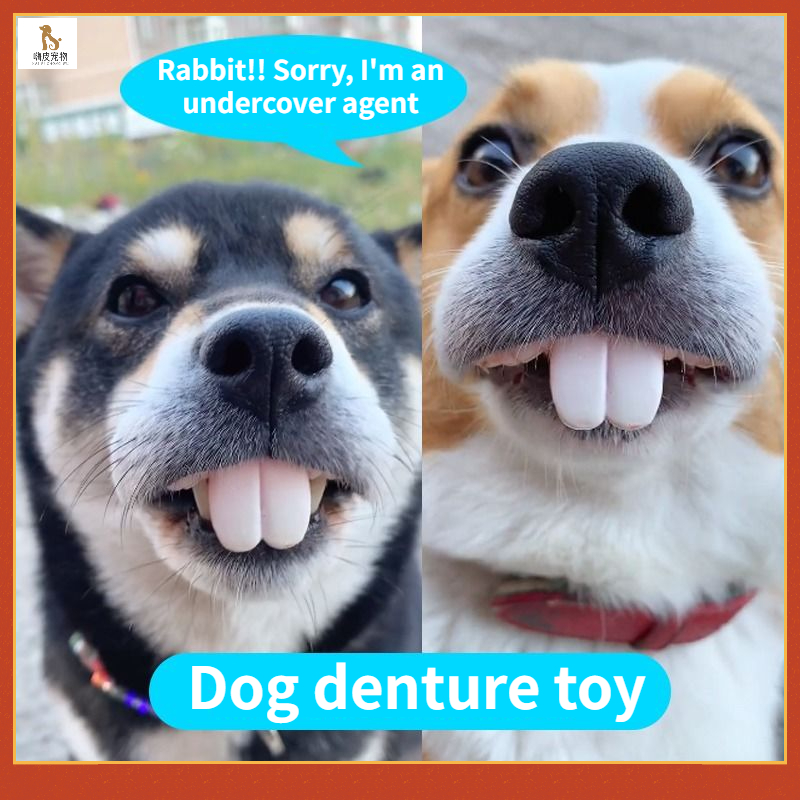Dog denture photo toy Pet Corgi Dog denture toy | Shopee Malaysia