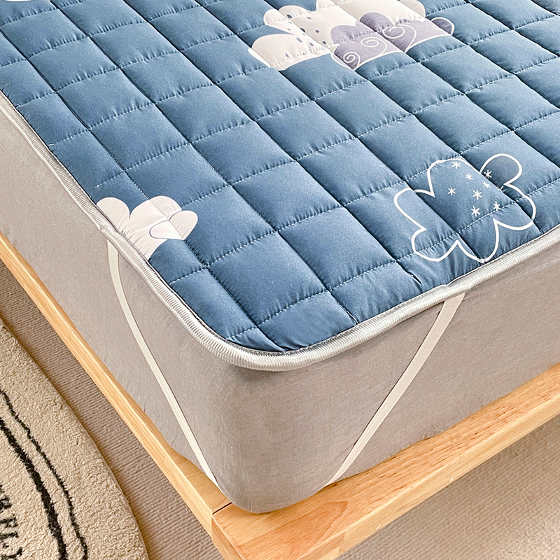 Queen King Size Protection Sponge Tatami Mattress protector Thick ...