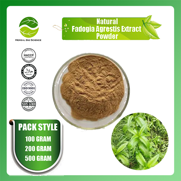 100g/200g/500g Fadogia Agrestis Extract Powder/Caring for Male Health ...