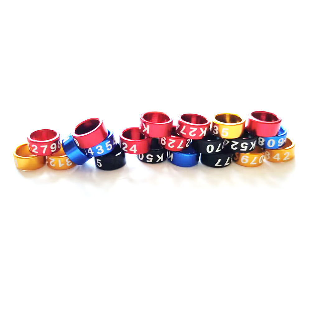 10 Birds Straight Ring With Words Parrot Foot Ring 3mm to 8mm African ...
