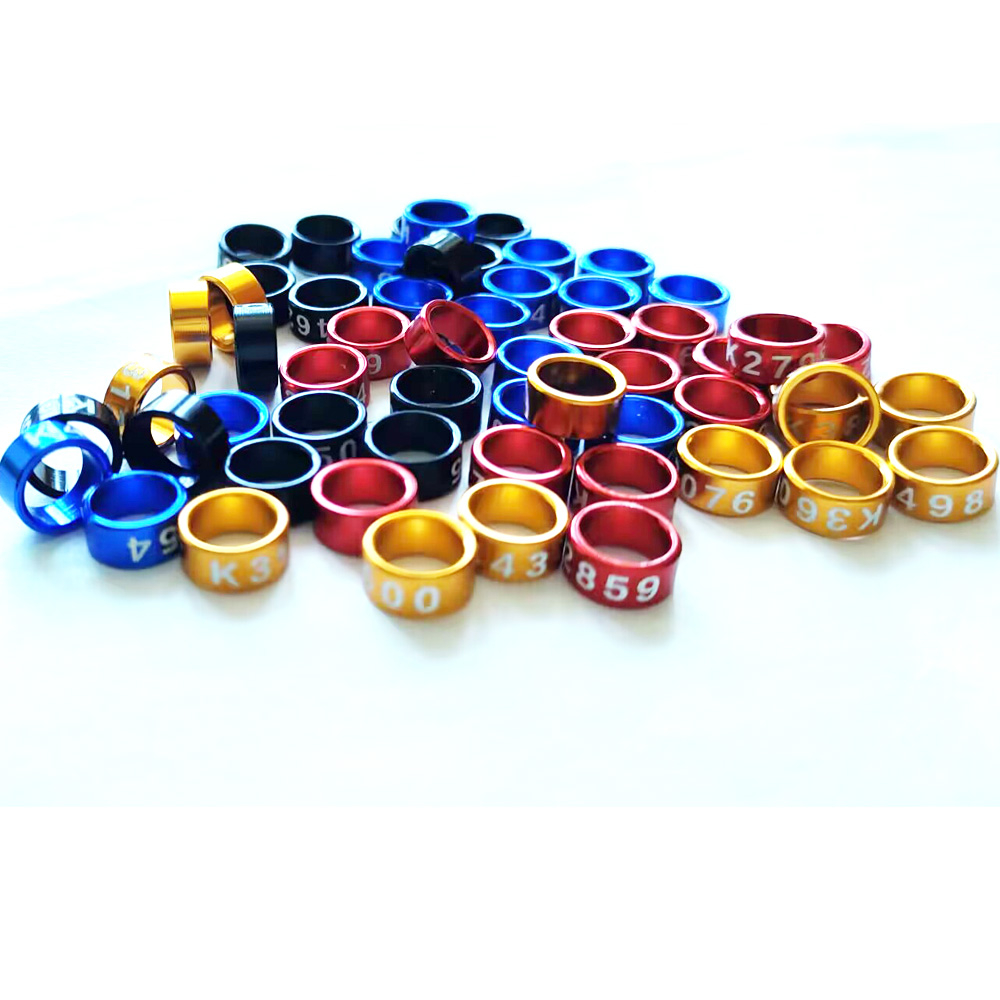 20 pcs Birds Straight Ring With Words Parrot Foot Ring 3mm to 8mm ...