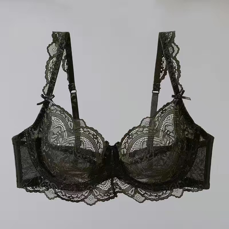 [32-42 ABCD size] French Style Underwired Transparent Sexy Lace Bra Set ...