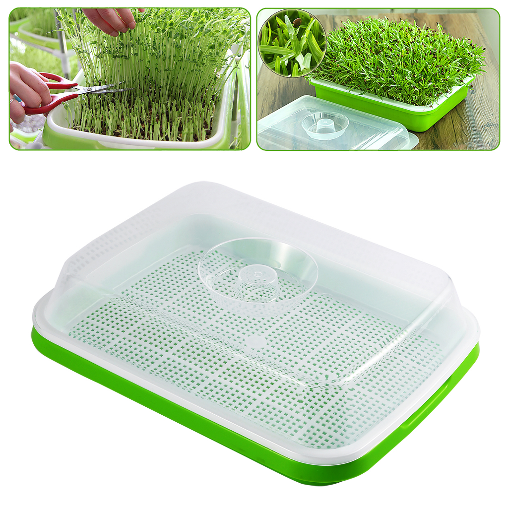 Sprouting Tray Double Layer Pea Mung Bean Peanut Wheat Hydroponic ...