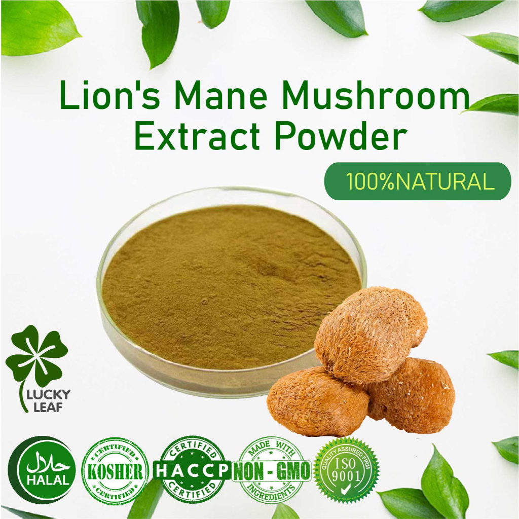 【100-200g】Lion's Mane Mushroom/Monkey Head Mushroom Extract Powder ...