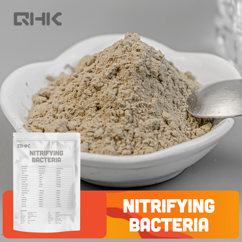 Nitrifying Bacteria Powder Probiotics Powder for Fish Shrimp Farming ...