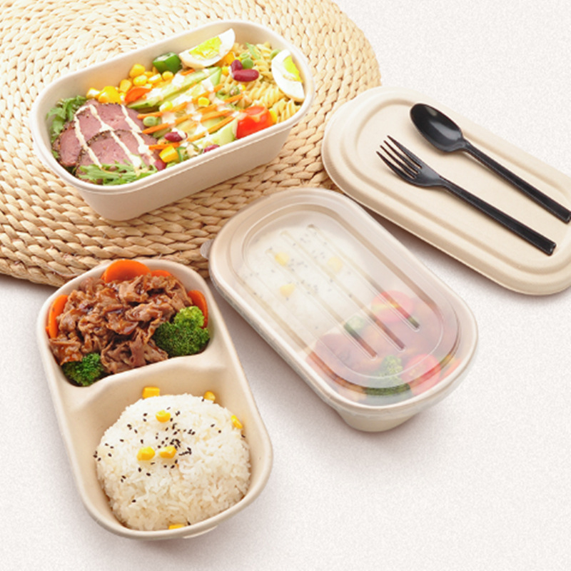 PopKozzi [ECO] 700/850/1000ml Degradable Healthy Pulp Lunch Box ...