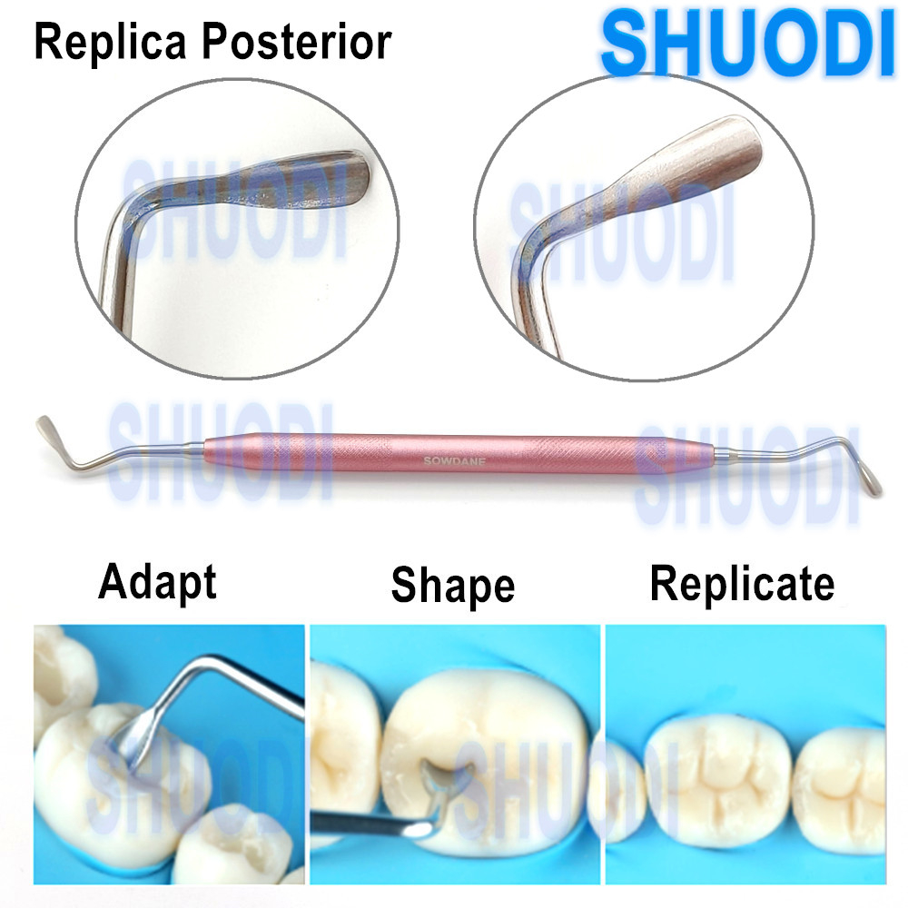 Dental Aesthetic Restoration Tools Replica Posterior for Simplifying ...