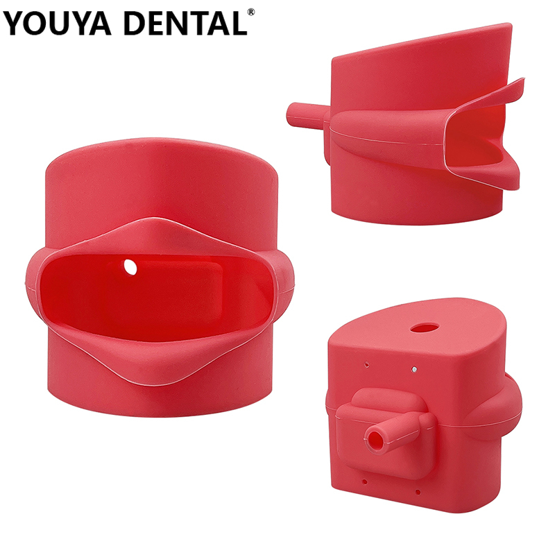 Cheek Dental Phantom Head Teeth Model Silicone Mask Teaching Student ...