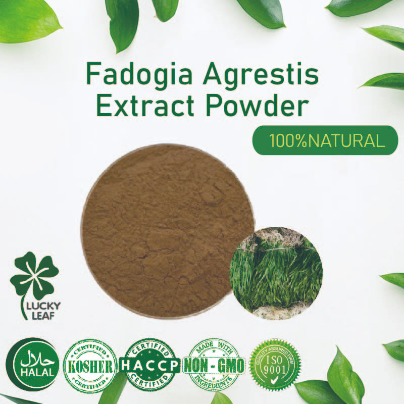 【100g-200g 】Fadogia Agrestis Extract Powder/Male Health&Energy-Kosher ...