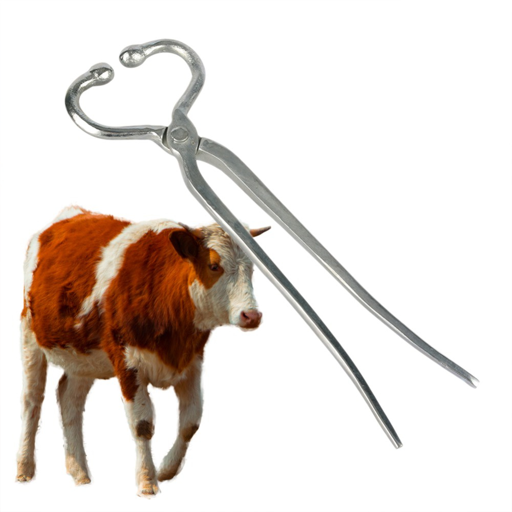 1Pc Bull Nose Piercing Device Cow Nose Ring Carrying Pliers Stainless ...