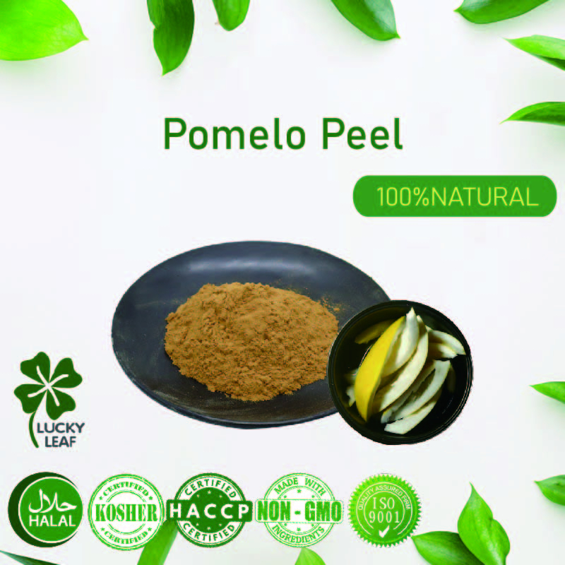 【100g-200g】Pomelo Peel Extract Powder/Grapefruit Peel/Antioxidant/Cough ...