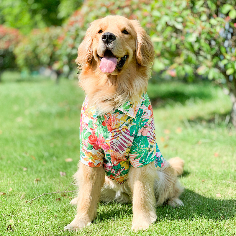 InnoPet Dog Clothes Dog Shirt for Labrador Summer Thin Style ...