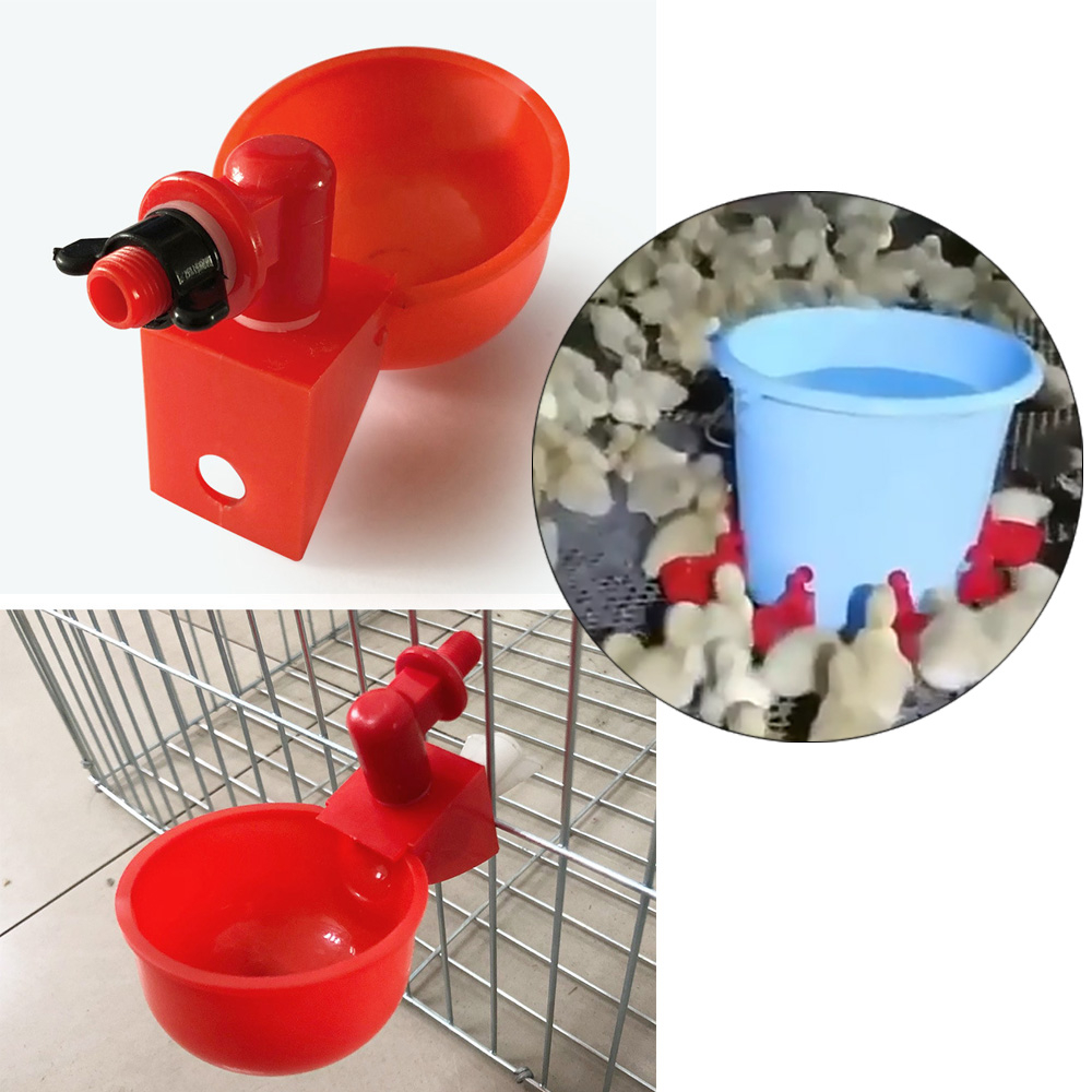Automatic Chicken Water Cup Waterer Pigeon Drinking Bowl Farm Coop ...