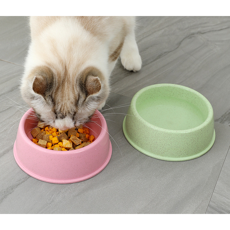 18cm Large Eco PP Candy Pet Food Bowl Dog Bowl Pet Bowl Large Dog Bowls ...