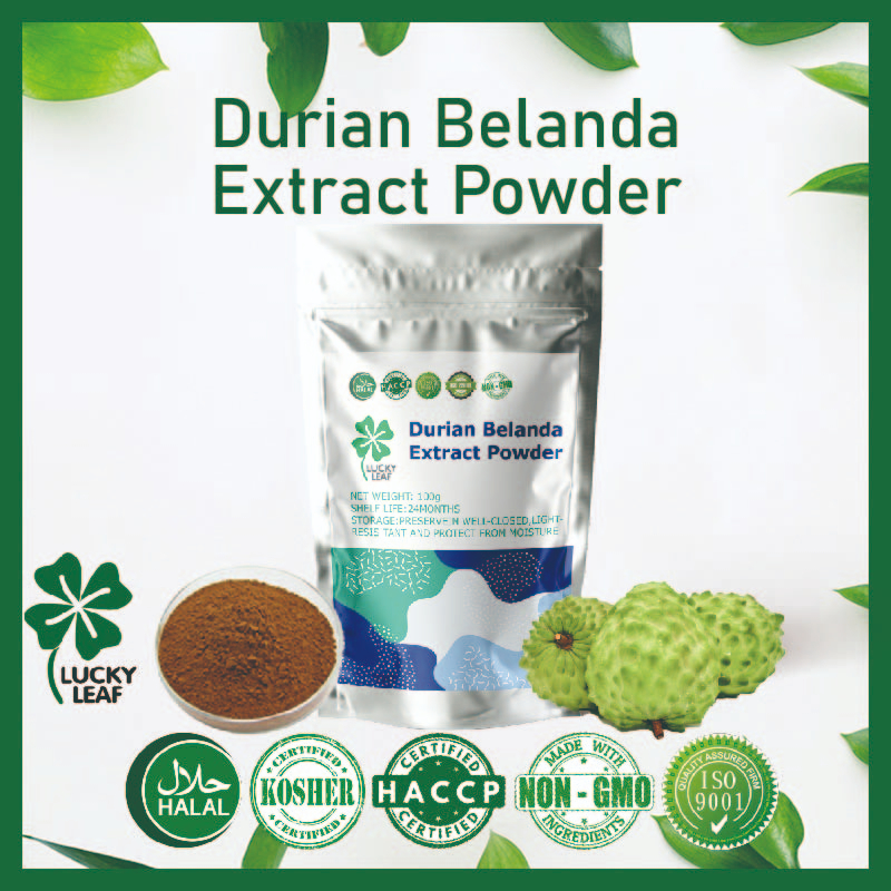 【100g-200g】Durian Belanda Extract Powder/Guanabana/Promote brain health ...