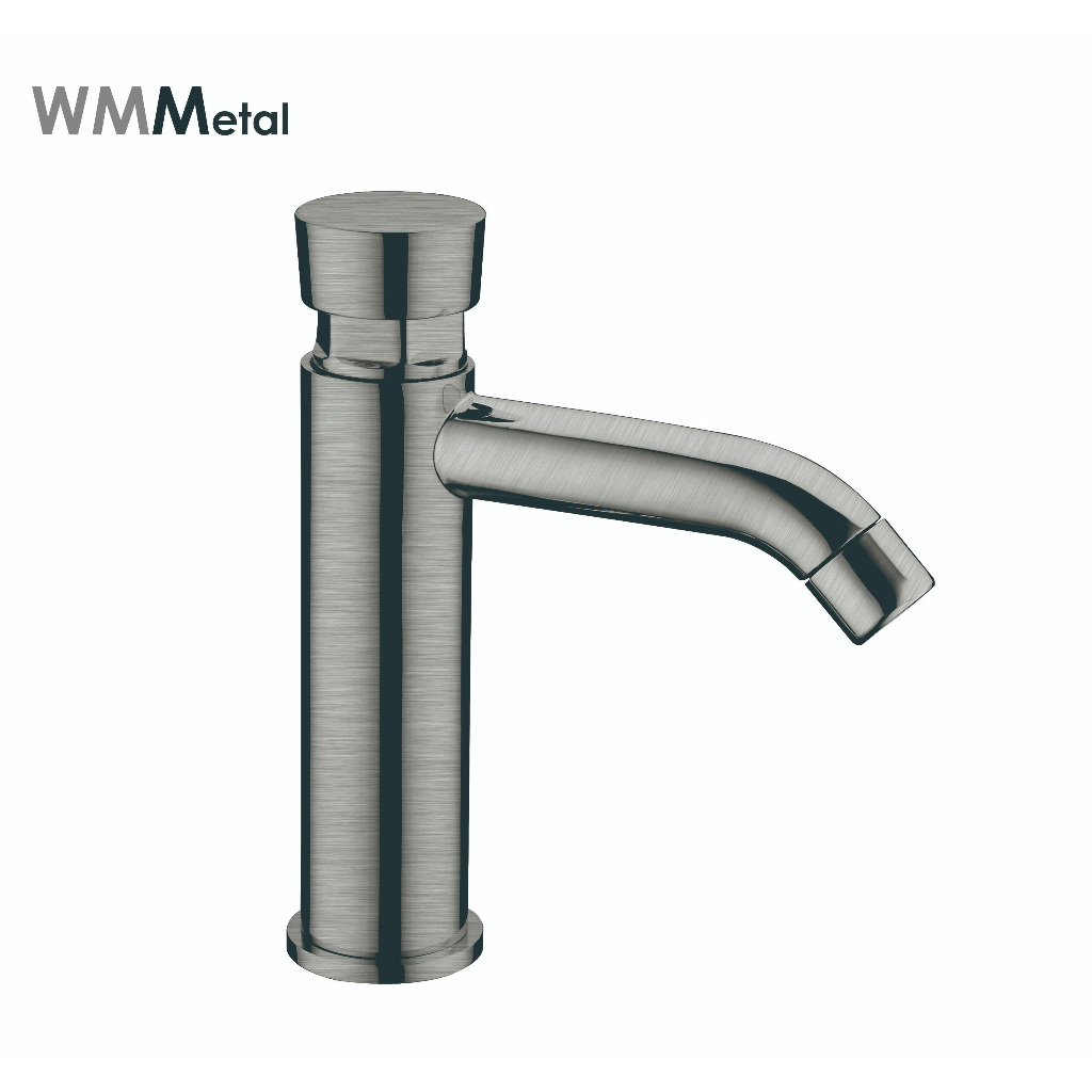 Auto self closing water saving tap stainless steel push delay faucet ...