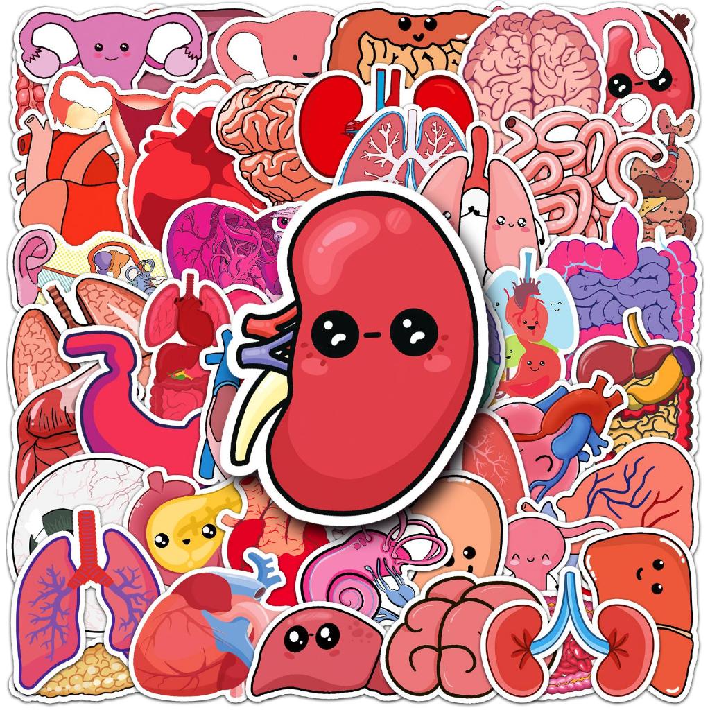 50 Piece Funny Cartoon Organ Stickers Waterproof DIY For Phones Laptop ...