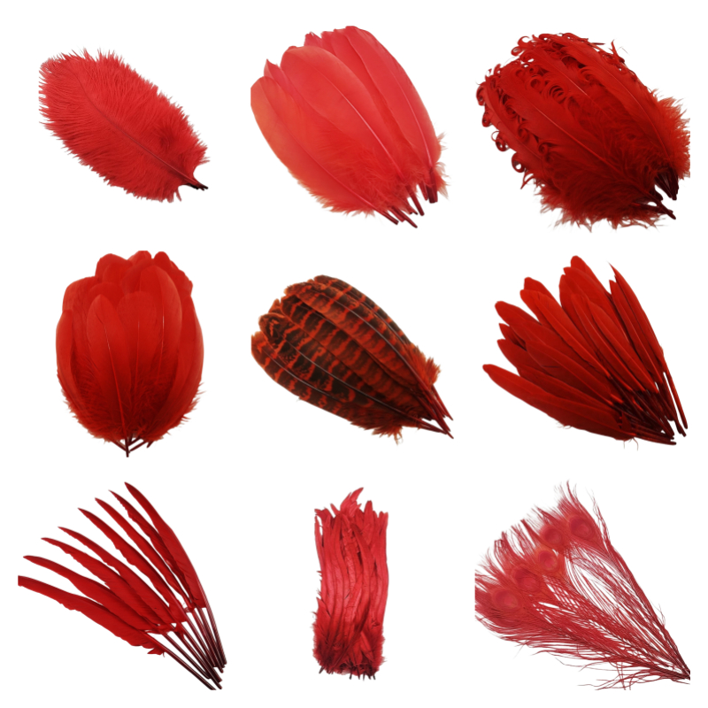 20pcs/Lot Various Red Feathers Rooster Goose Pheasant Feathers for ...