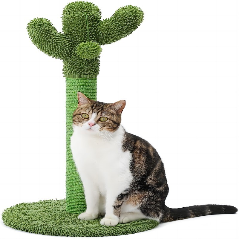 Cat Scratching Post, Cactus Cat Scratcher Kitten Scratching Post with ...