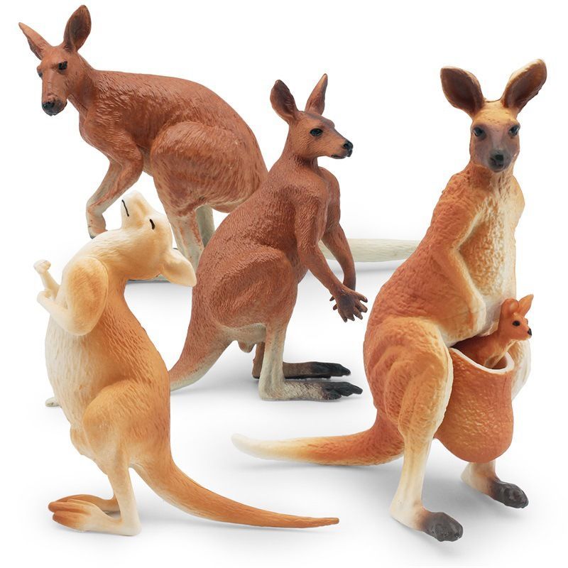 Animal World Kangaroo Wallaby Science Education Model Children Toy ...