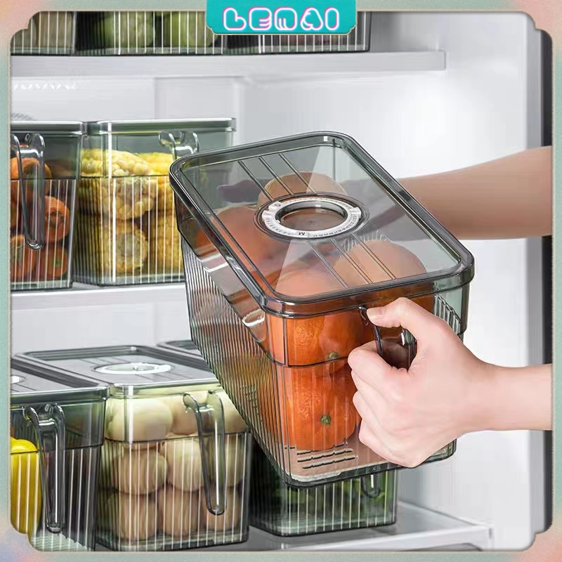 Refrigerator Storage Box Vegetable Fruit Refrigerator Mini Preservation ...