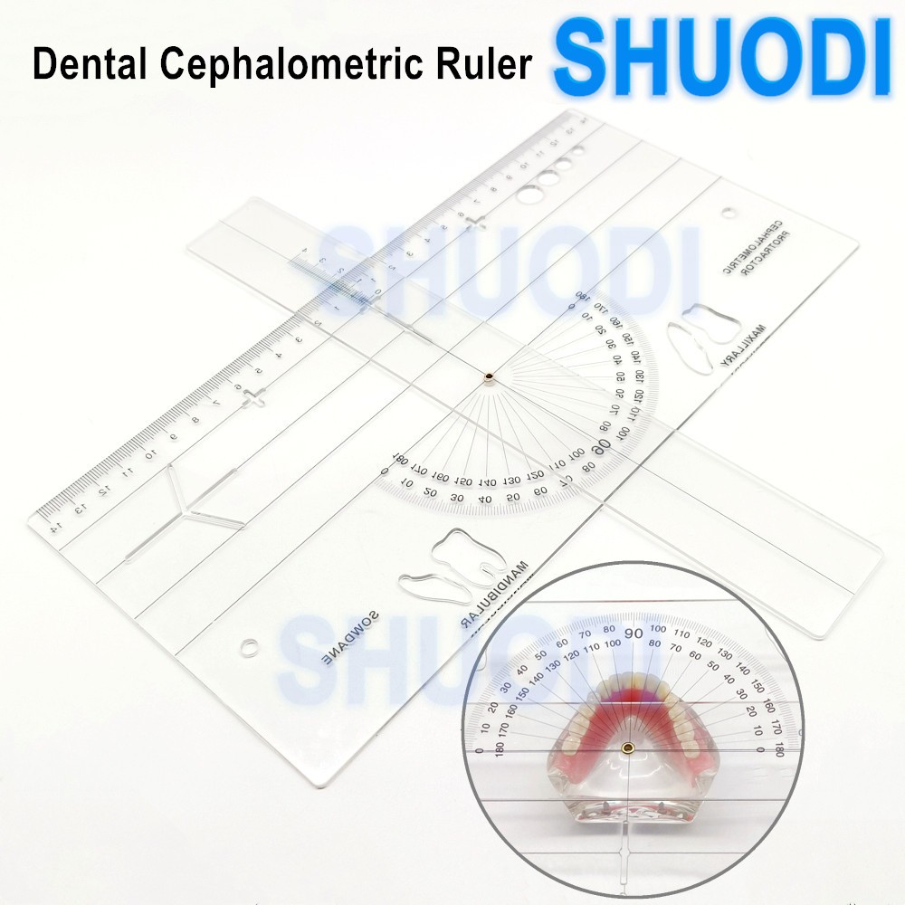 1 piece Dental Guide Plate Dental Cephalometric Ruler X-ray Protractor ...