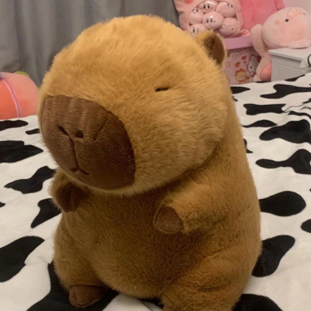 🔥capybara🔥Tik Tok Same Style Seated Capybara Doll 卡皮巴拉🥳水豚公仔 乌龟背包水豚 Ugly ...