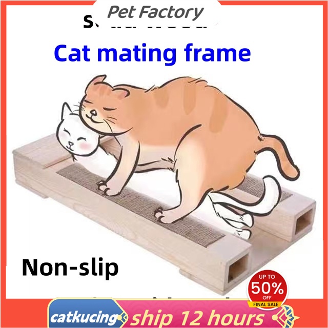 Solid Wood Short Female Cat Mating Frame Heighten Short Legged Cat ...